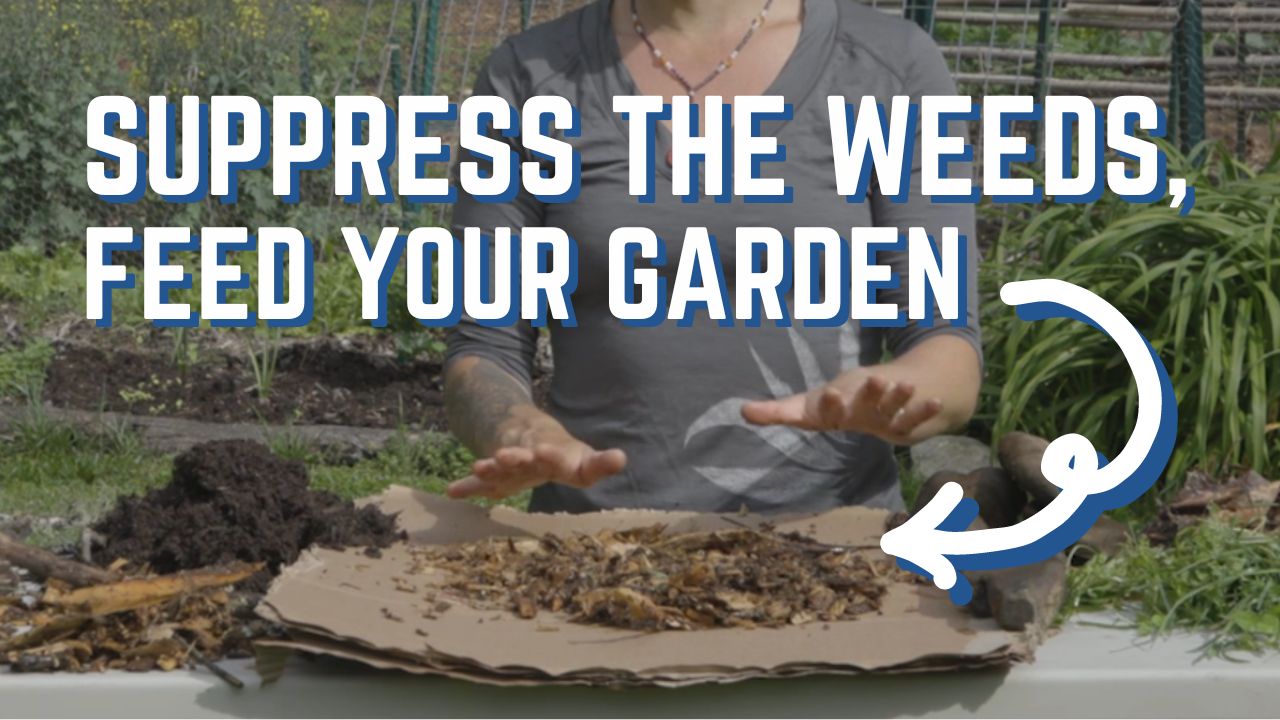 Sheet Mulching Technique for a No-Till Garden – Videos – Mother Earth News